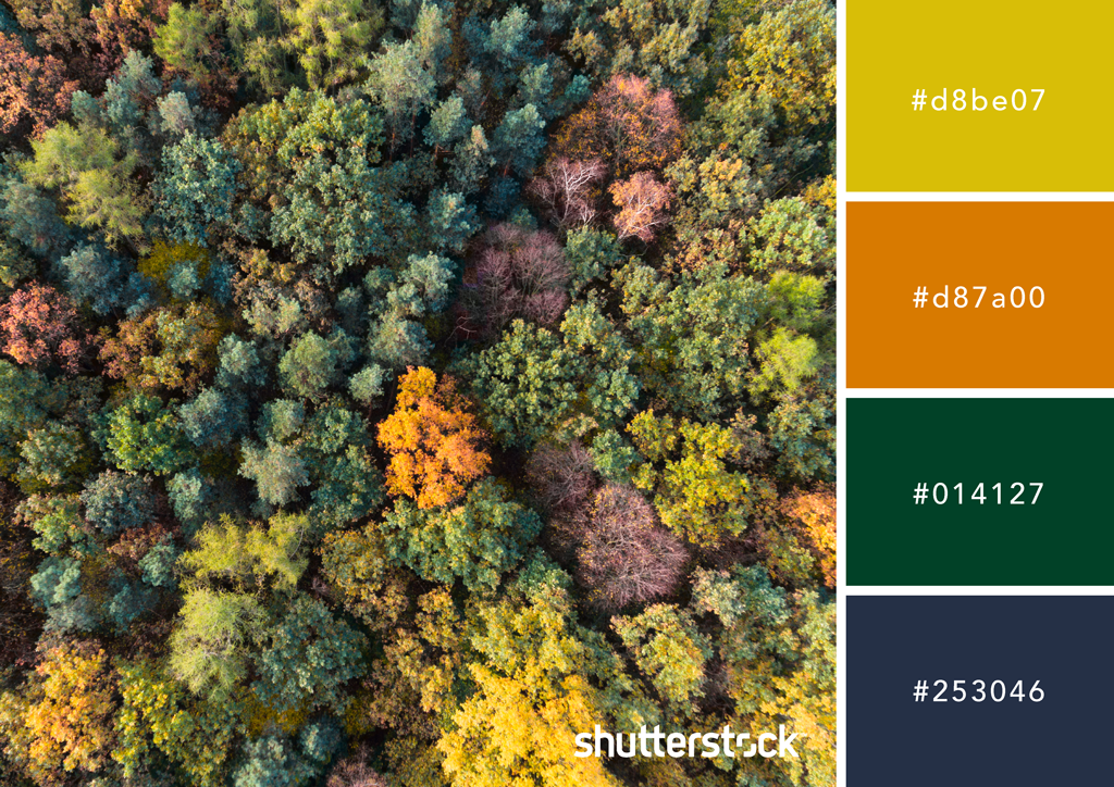 Mellow Yellow: The Symbolism and History of the Color Yellow
