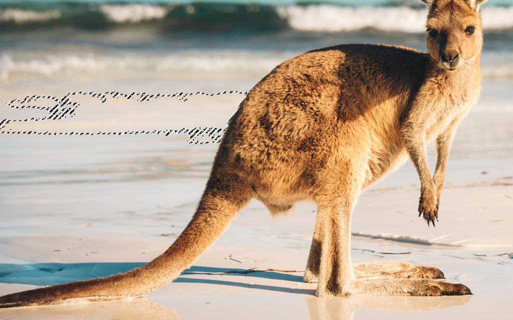 How To Smooth Edges In Photoshop After Making A Selection