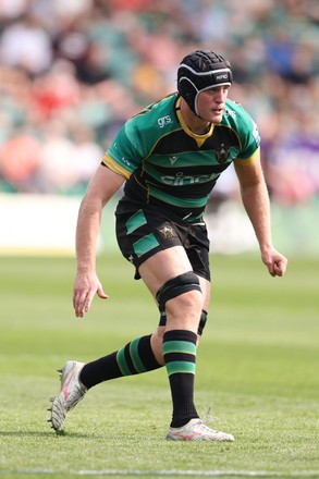 northampton saints v gloucester Stock Photos (Exclusive) | Shutterstock Editorial