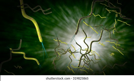 75 Amphitrichous Images, Stock Photos & Vectors | Shutterstock