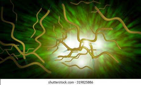 Ganges River Delta Satellite View Elements Stock Photo 1202219557 ...