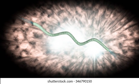 75 Amphitrichous Images, Stock Photos & Vectors | Shutterstock