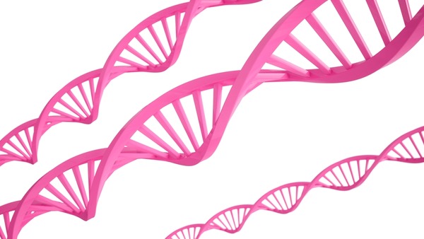 Dna Pink White Background Royalty-Free Images, Stock Photos & Pictures ...