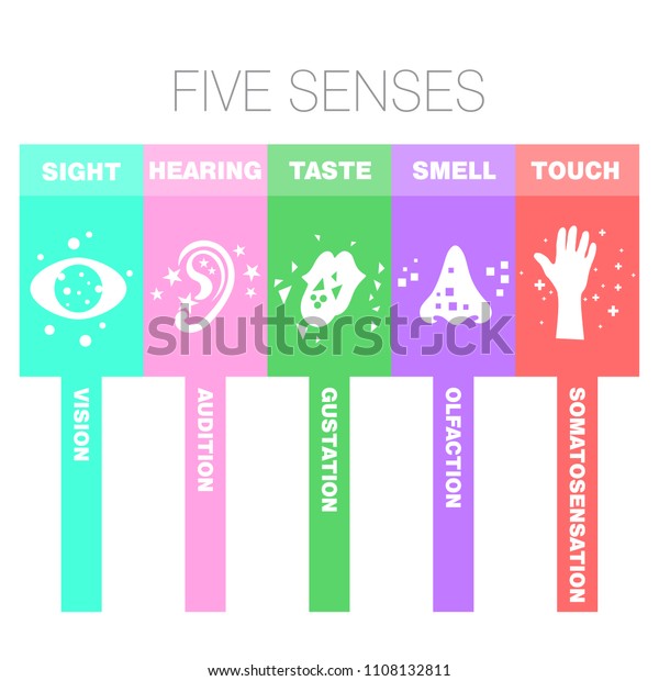Abstract Illustration Five Senses Simple Icons Stock Illustration ...
