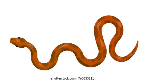 756 Python Top View Images, Stock Photos & Vectors | Shutterstock