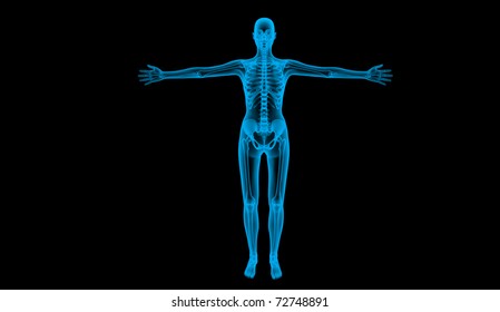 Human Body Xray Photos and Images | Shutterstock