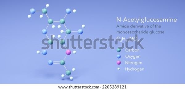 엔-아세틸글루코사민, 분자구조, 모노사차리드 포도당, 3d 모델, 스톡 일러스트 2205289121 | Shutterstock