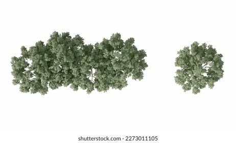 487 Tree 2d Plan Images, Stock Photos & Vectors | Shutterstock