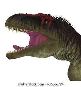Megalosaurus Dinosaur Head Megalosaurus Large Carnivorous Stock Illustration 361997675 ...
