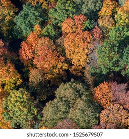 Aerial View Fall Foliage Transylvaniaromania Stock Photo 2229525887 | Shutterstock