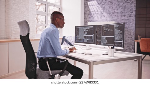 African American Man Programmer Girl Coding Stock Photo 2276983331 ...