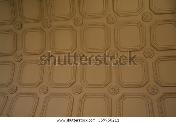 Ceiling Tile Pattern Stock Photo 559950211 | Shutterstock