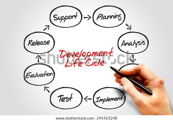 Circular Flow Chart Life Cycle Development Stock Photo 245423248 ...