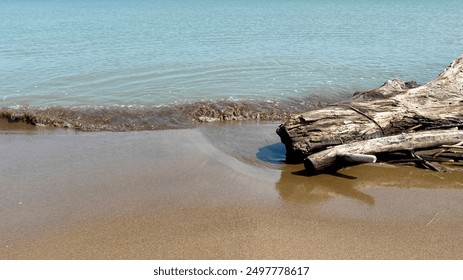 Indonesian Pebble Beaches Photos and Images & Pictures | Shutterstock
