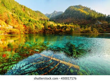 153 Amazing View Of The Five Flower Lake Stock Photos, Images ...