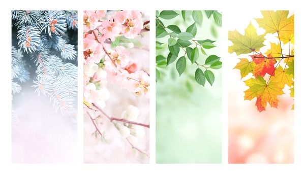 415,589 Concept Summer Autumn Royalty-Free Photos and Stock Images ...