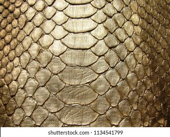 3,324 Gold Snakeskin Background Images, Stock Photos & Vectors ...