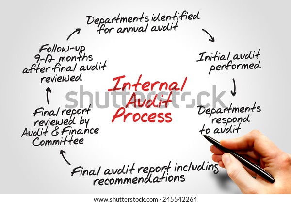 Internal Audit Process Flow Chart Business Foto Stok 245542264 ...