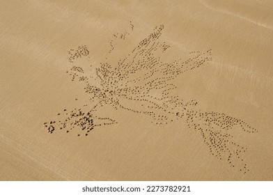 509 Monas Pattern Images, Stock Photos & Vectors | Shutterstock