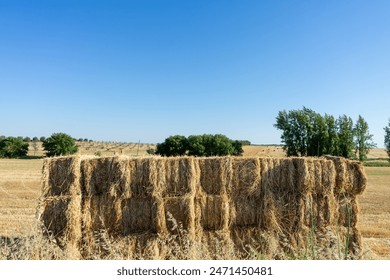 Rectangle Bale Royalty-Free Images, Stock Photos & Pictures | Shutterstock