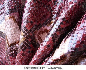 Red Python Skin Snake Skin Animated Stock Photo 1087219580 | Shutterstock