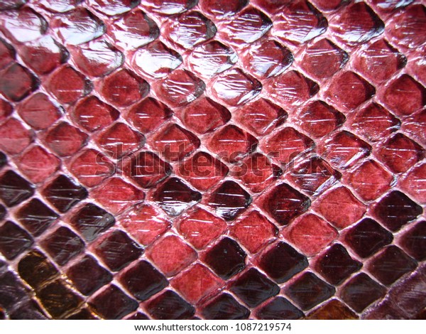 Red Python Skin Snake Skin Animated Stock Photo 1087219574 | Shutterstock