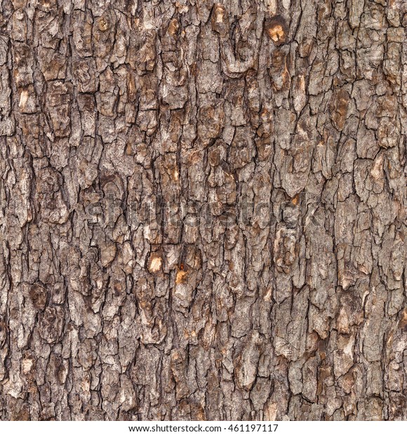 9,897 Tree Trunk Texture Seamless Stock Photos, Images & Photography ...