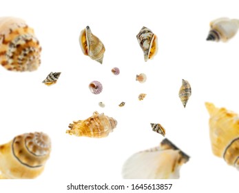 174 Falling Starfish Images, Stock Photos & Vectors | Shutterstock