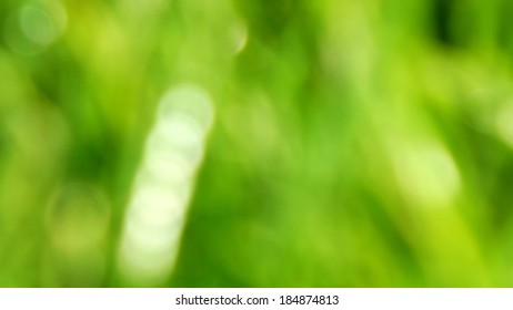 Spring Bokeh Lights Background Stock Photo 184874435 | Shutterstock