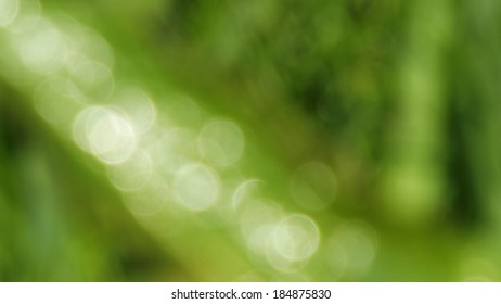 Spring Bokeh Lights Background Stock Photo 184875830 | Shutterstock