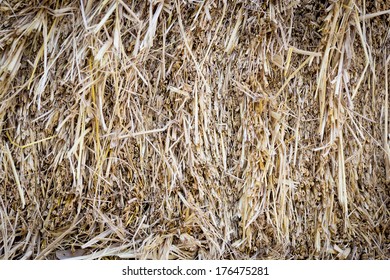 Dried Rice Straw Used Background Stock Photo 2197523039 | Shutterstock