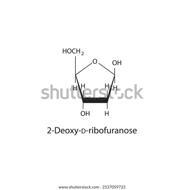 2-deoxy-d-ribofuranose Skeletal Structure Diagramsugar Compound Molecule Stock Vector (Royalty ...