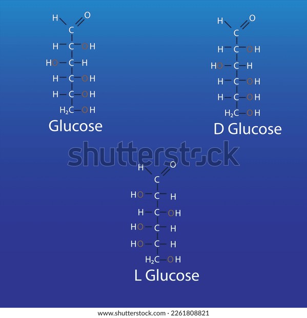 All Structures Glucose Linear Forms Bio Stock Vector (Royalty Free ...