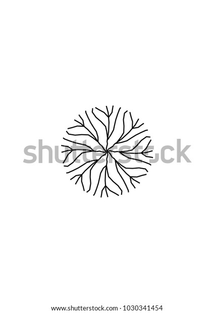 Architectural Illustration Tree Landscape Design Layout Stock Vector ...