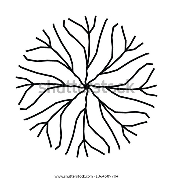 Architectural Illustration Tree Landscape Design Layout Stock Vector ...