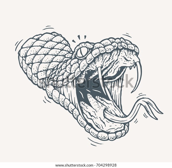 Atacando ilustración vectorial de serpiente. Dibujo: vector de stock ...