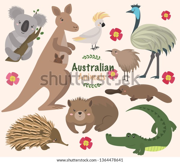Australian Animals Vector Set Kangaroo Koala Stock Vector (Royalty Free ...