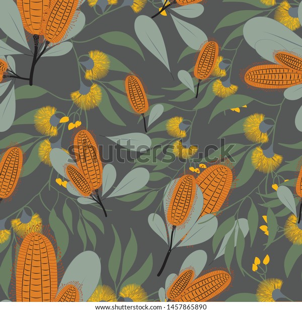 Australian Floral Vector Repeat Pattern Banksia Stock Vector (Royalty ...