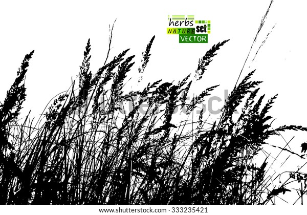 Background Tracing Grass Vector Stock Vector (Royalty Free) 333235421 ...