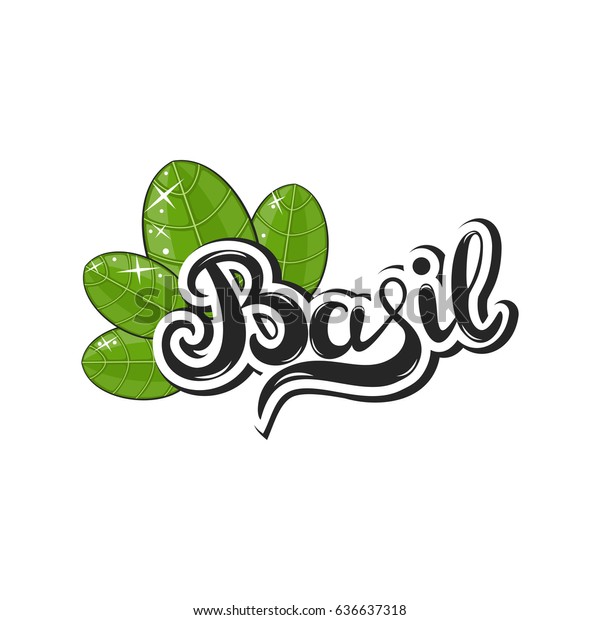 Basil Logo Stock Vector (Royalty Free) 636637318 | Shutterstock