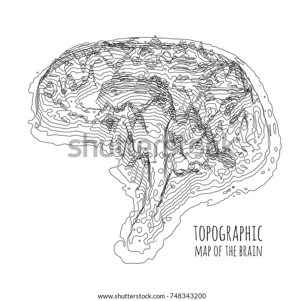 Brain Form Topographic Map Concept Modern Stock Vector (Royalty Free ...