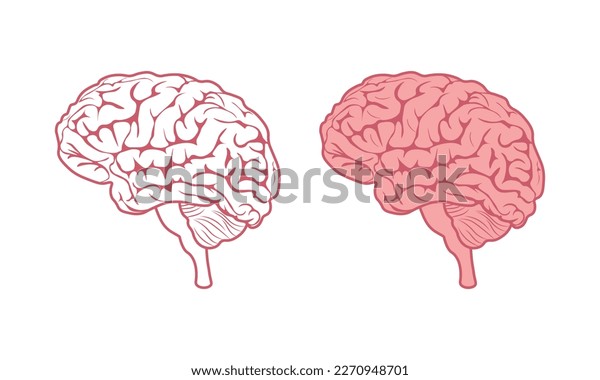 Brain Brain Image Cartoon Linear Style Stock Vector (Royalty Free ...