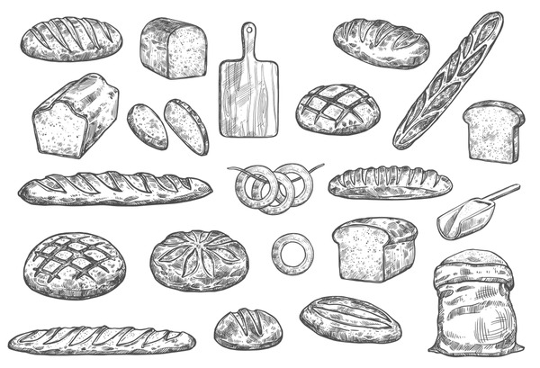 7,767 Bread Roll Sketch Royalty-Free Images, Stock Photos & Pictures ...