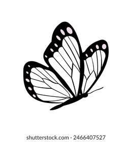 Butterfly Silhouette Set Butterfly Vector Illustration庫存向量圖（免版稅）2466407527 | Shutterstock