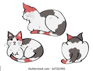 8+ Thousand Animal Front Back View Royalty-Free Images, Stock Photos ...