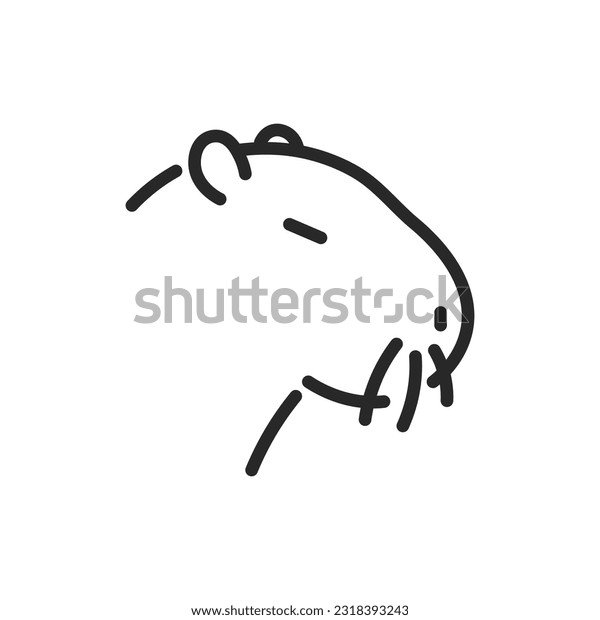 Capybara Icon Vector Outline Editable Sign: стоковая векторная графика ...