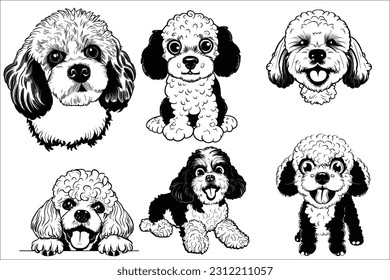 44 Cavapoo Clipart Royalty-Free Images, Stock Photos & Pictures ...