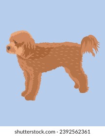 Cavapoo Dog Standing Side View Stock Vector (Royalty Free) 2392562361 ...