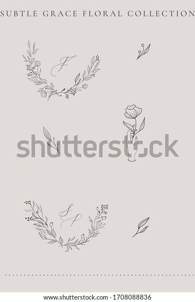 Collection Delicate Line Drawing Vector Floral Stock Vector (Royalty ...