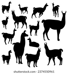 Collection Llama Silhouette Vector Illustrations Stock Vector (Royalty ...